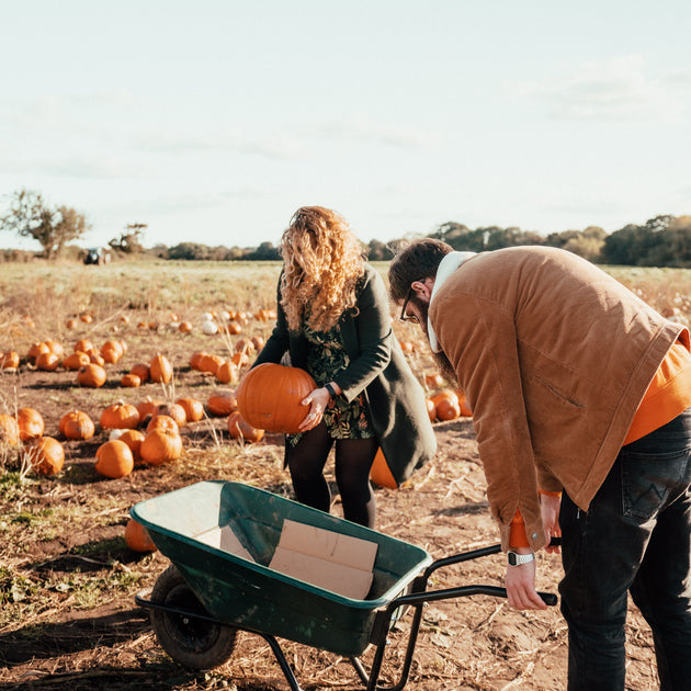 Embracing the Autumnal Shift: Halloween's Ancient Pagan Roots – The ...