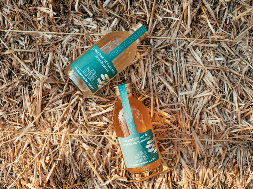 Embracing the Slow World of Fermented Food: A Nourishing Escape from t ...