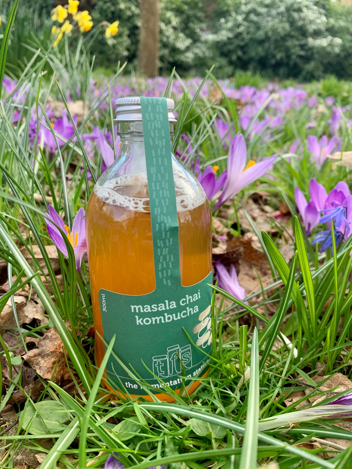 The Fermentation Station UK | Purveyors of Fermented Food and Drink